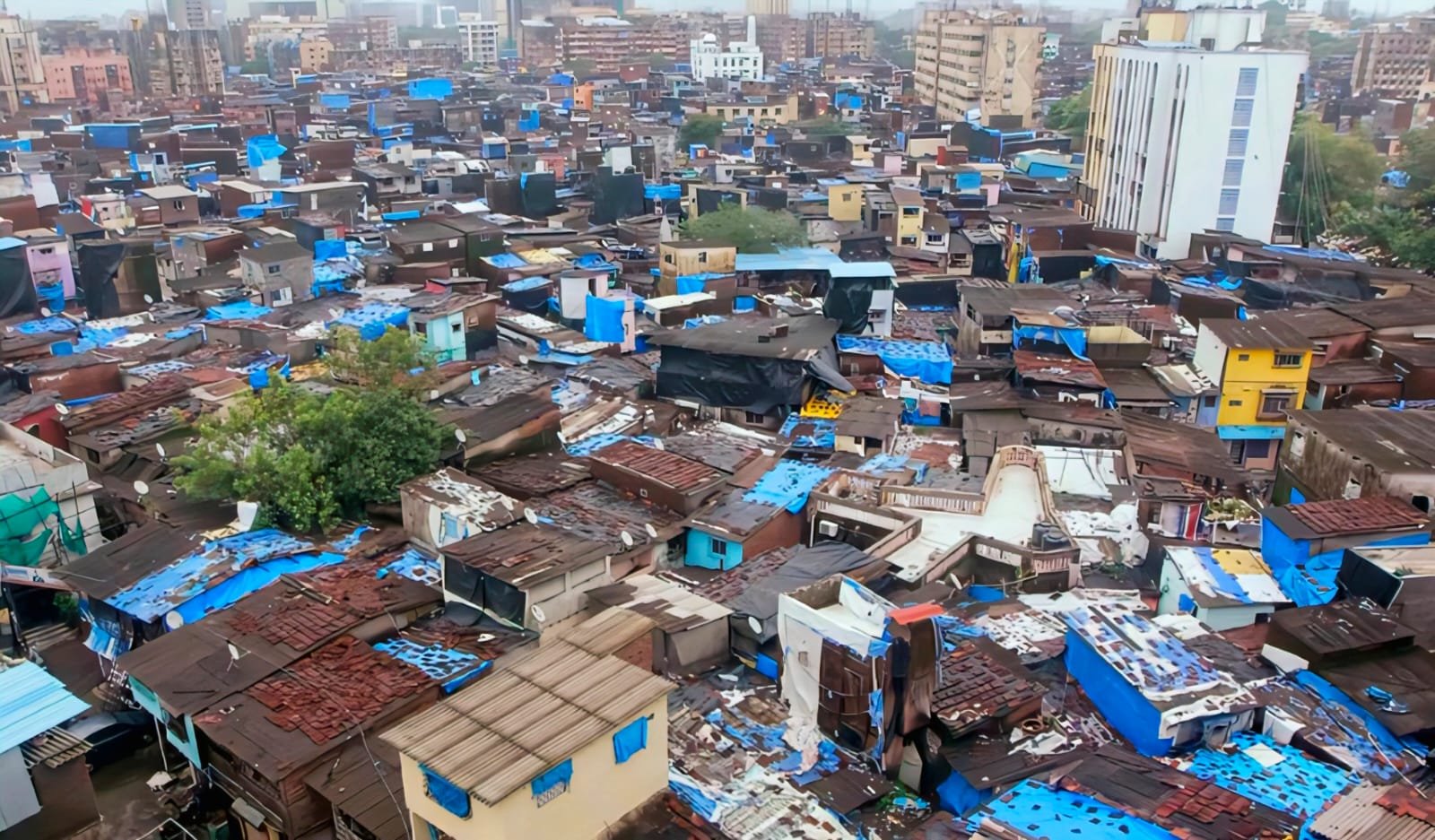 BMC Issues Stern Warning To Dharavi Redevelopment Project Over Serious ...